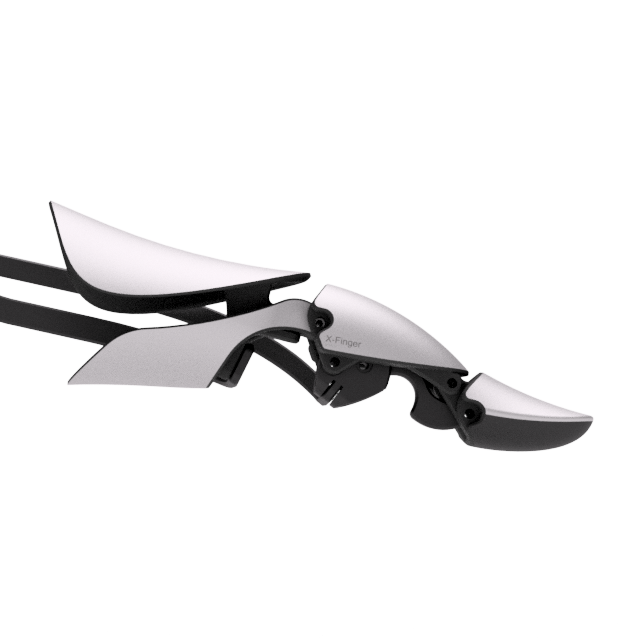 お知らせ｜exiii design（イクシーデザイン）